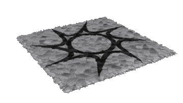 Roblox Rugs – ASYLUM